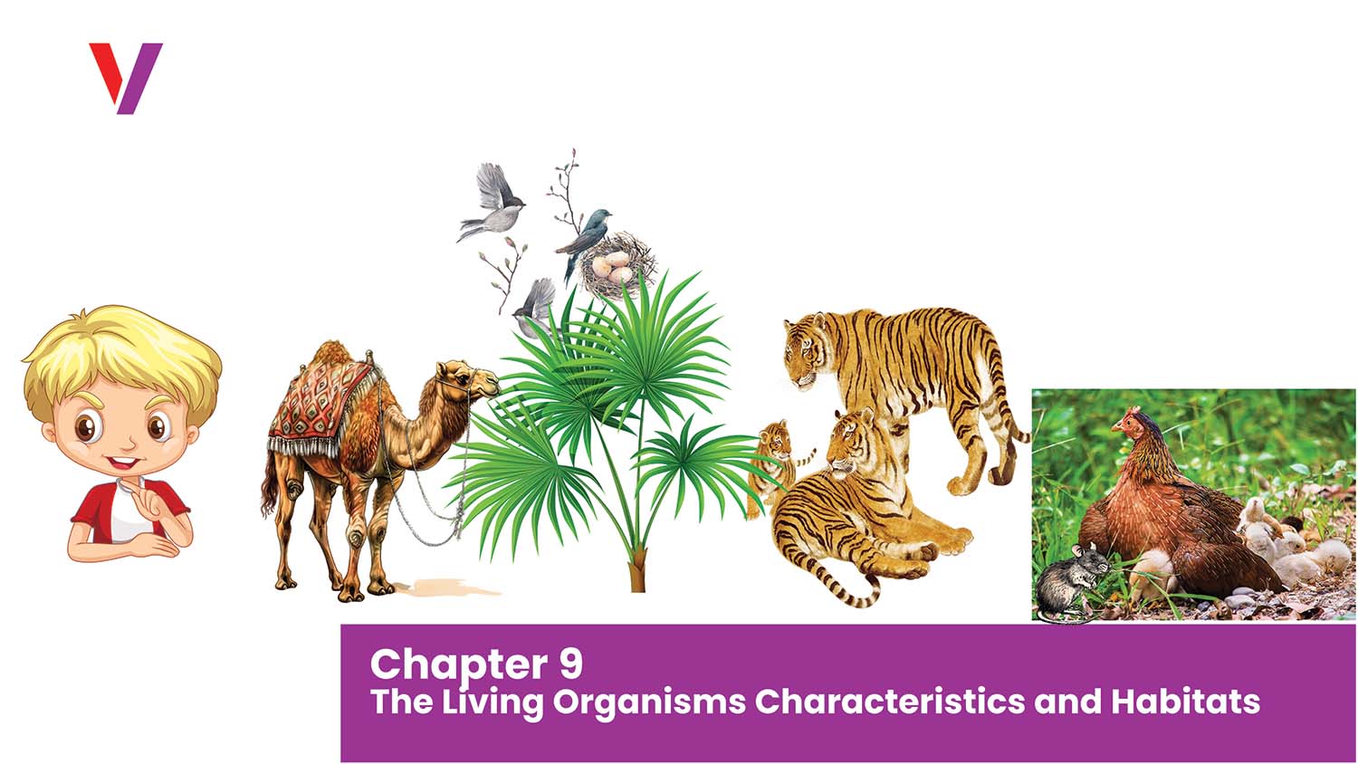 Chapter 9: The Living Organisms and Their Surroundings | Vikrant Academy®