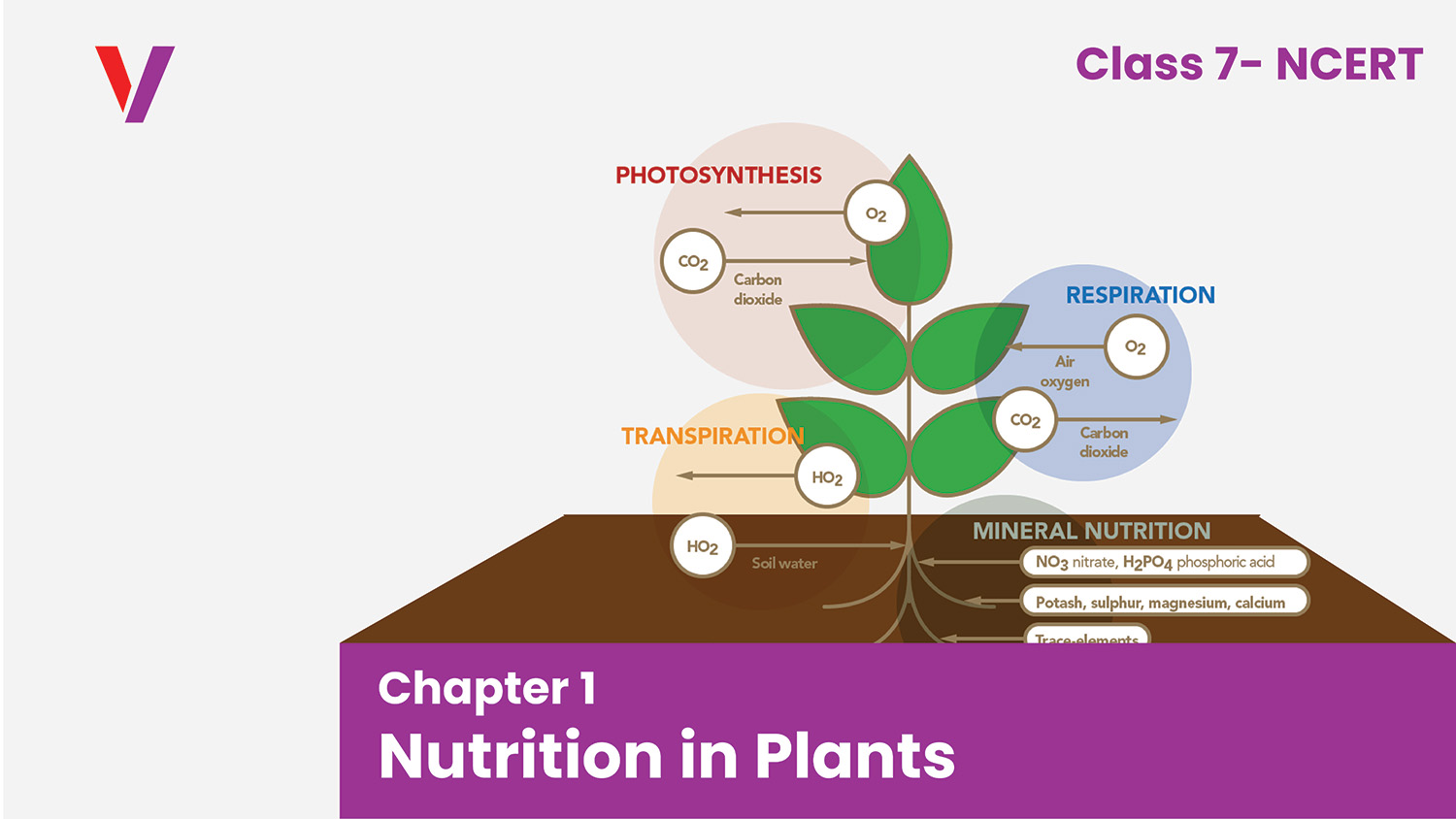 Class 7-Science Q & A Solved NCERT | Vikrant Academy®