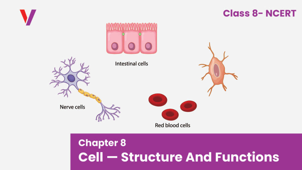 Chapter 8: Cell Structure and Functions – VikrantAcademy®